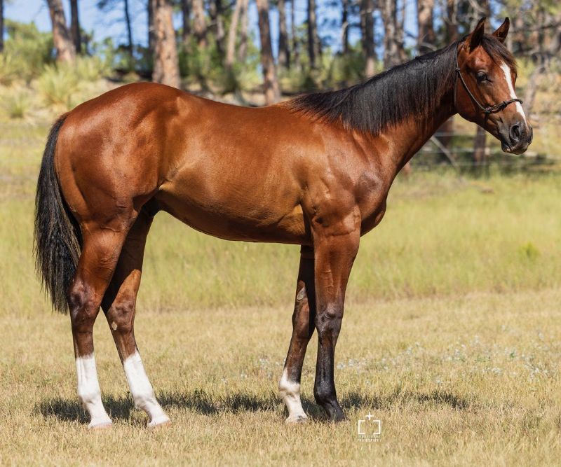Open Box Rafter Ranch